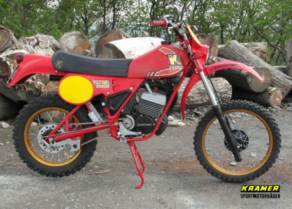 ER 250 Bj. 1981 ‚MKS‘